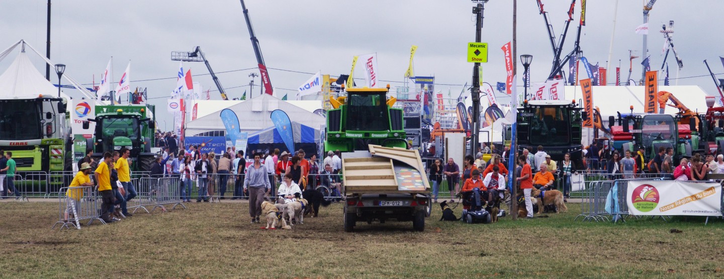Os’mose Geschichte – Ausbildung von Assistenzhunden seit 2010